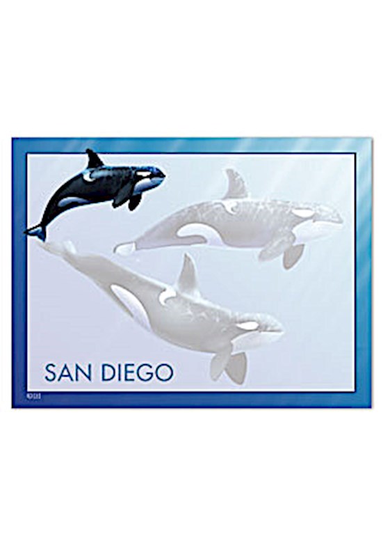 Rectangular Aloha Stick’n Notes, KILLER WHALES - Welcome to the Islands