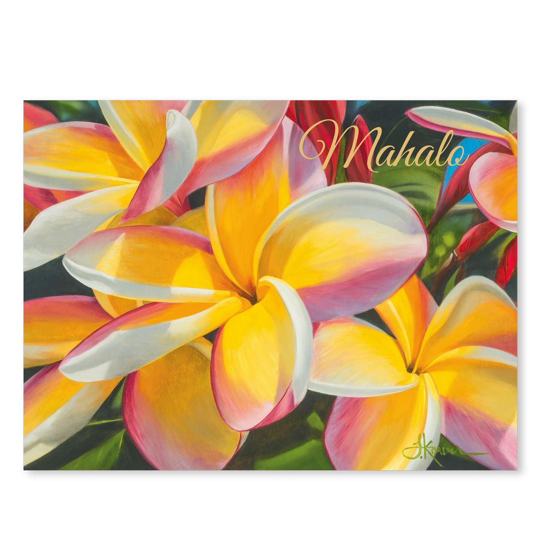8-Pack Mahalo Cards Boxed, Rainbow Plumeria - Welcome to the Islands